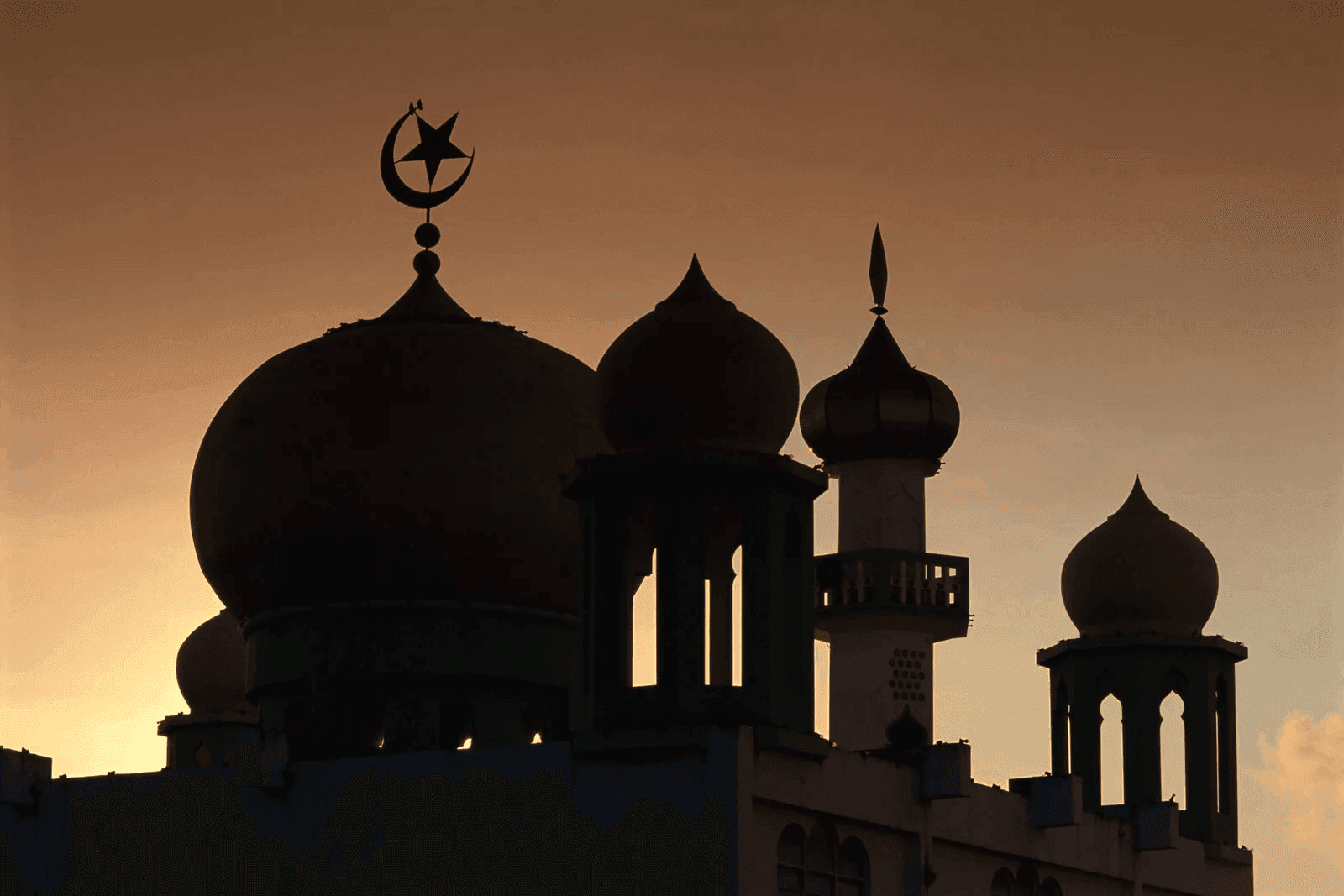 The Economic Power of Muslim Unity
